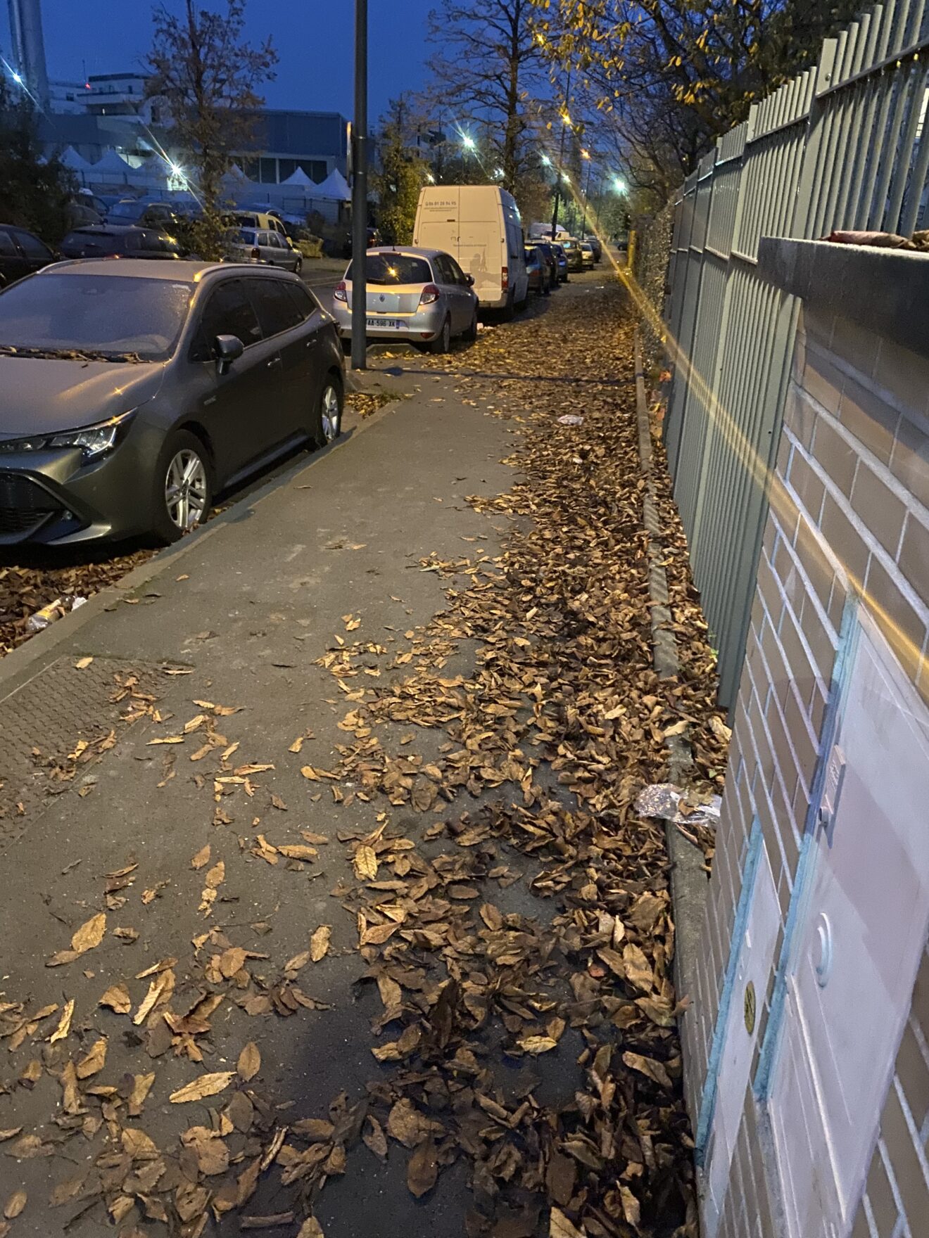 Des feuilles mortes qui s'amoncèlent… — MonAulnay.com % - MonAulnay.com